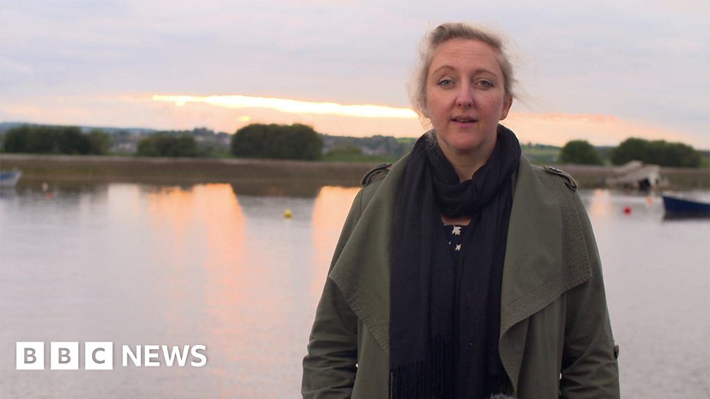 Poem sheds light on the Devon word dimpsy