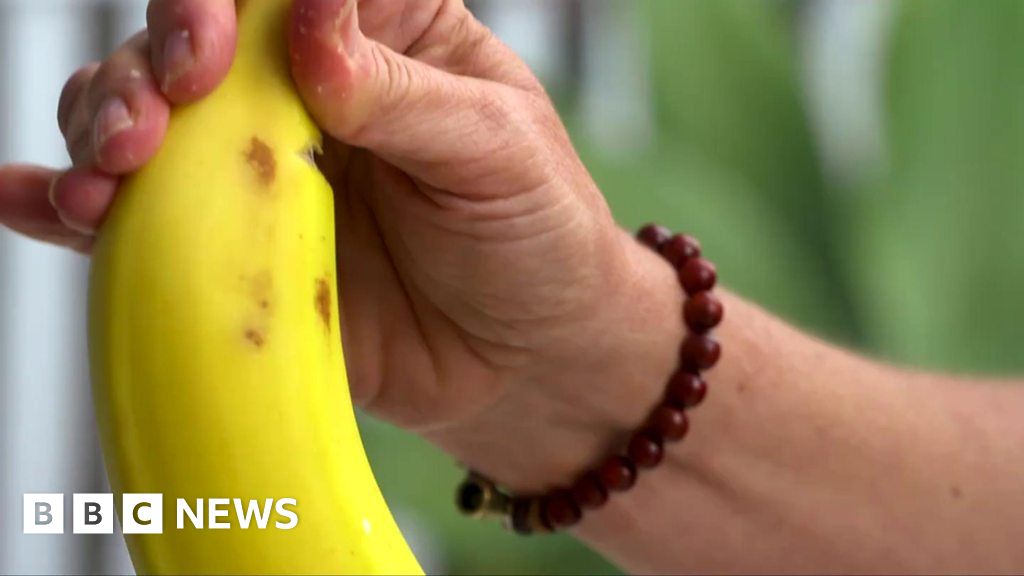 Genetic scientists work to save global banana industry - BBC News