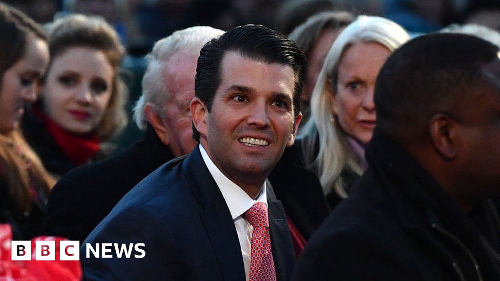 Trump Jr 'had amnesia during testimony' says US lawmaker - BBC News