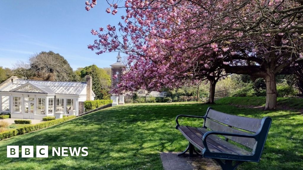 Ipswich achieves 'Tree City of the World' status for second time - BBC News