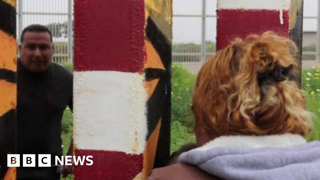 Families divided at US-Mexico border - BBC News