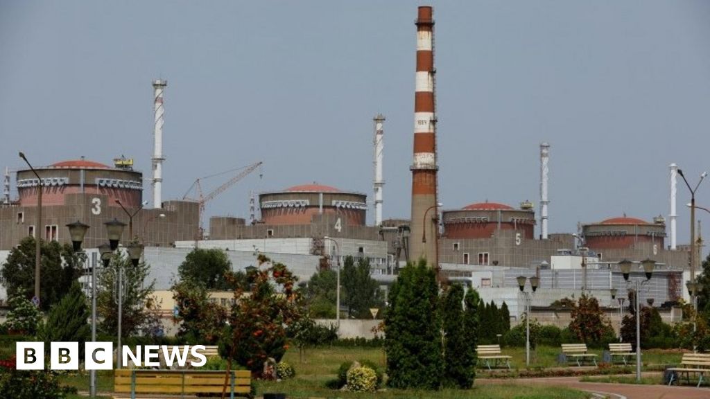 Ukraine war round-up: Nuclear plant off grid and Putin orders army ...