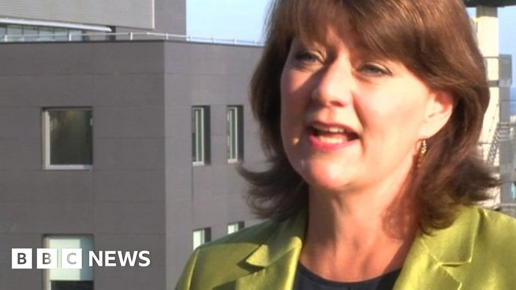 Neil McEvoy 'attacking' other Plaid AMs - Leanne Wood - BBC News