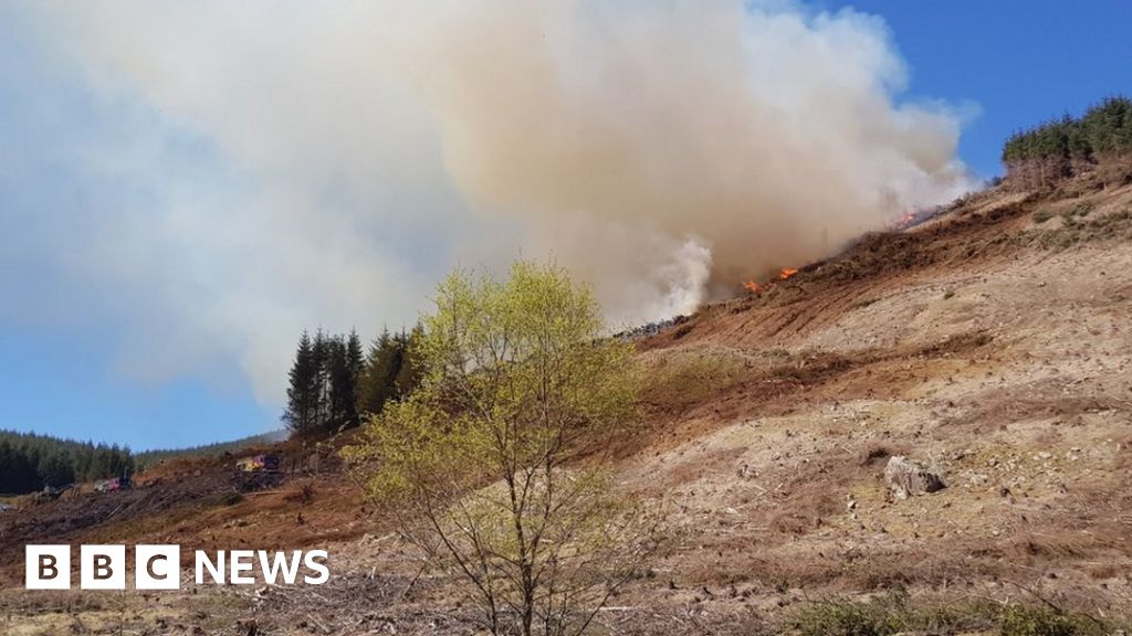 Firefighters tackle forest blaze near Sanquhar - BBC News