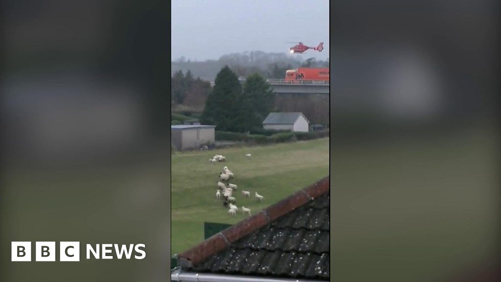 Air ambulance lands at Newry crash scene - BBC News