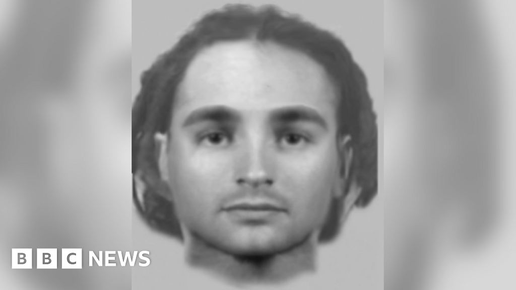 Green Man Festival: Police issue E-fit in alleged rape investigation