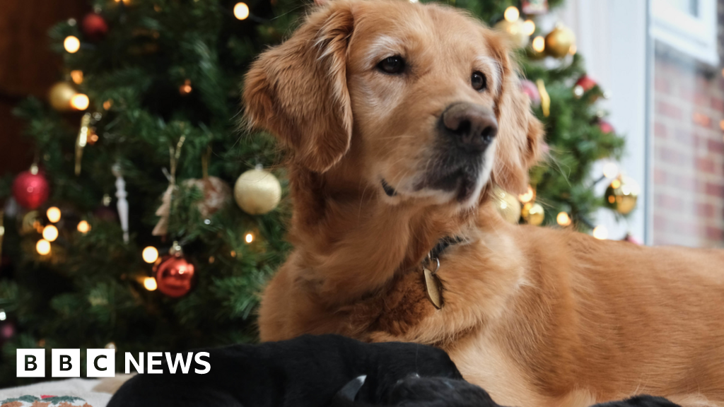 Orla Moore - Journalist Profile - Intelligent Relations