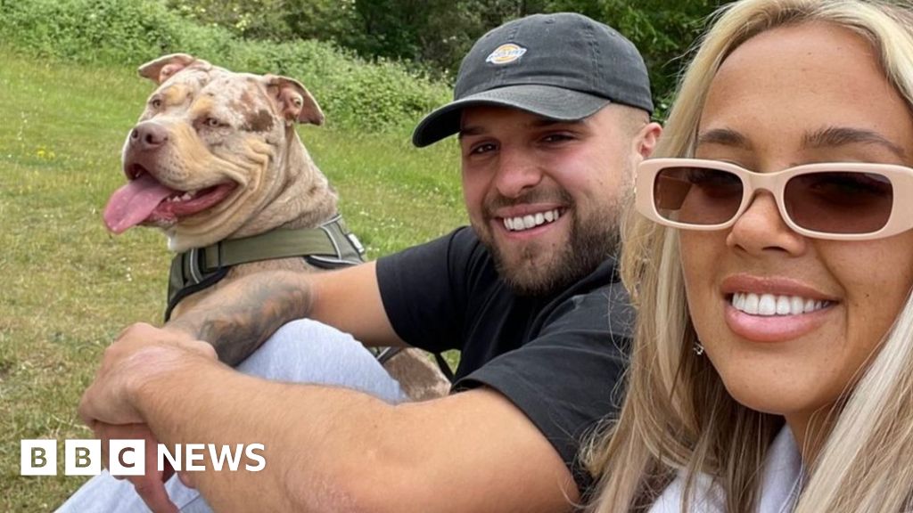 XL bully ban: Couple considers move to Scotland