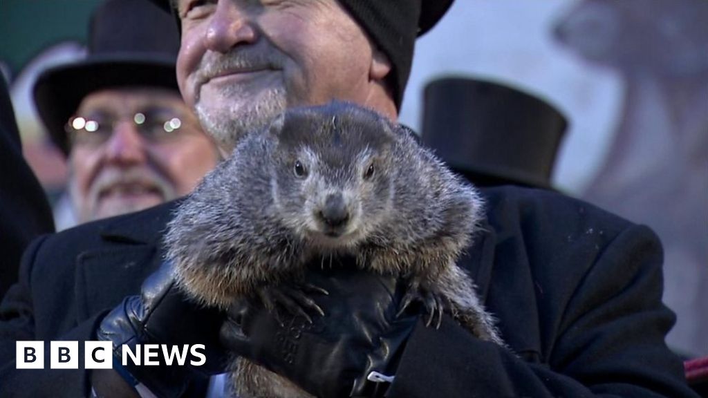 Groundhog Day: Punxsutawney Phil makes prediction