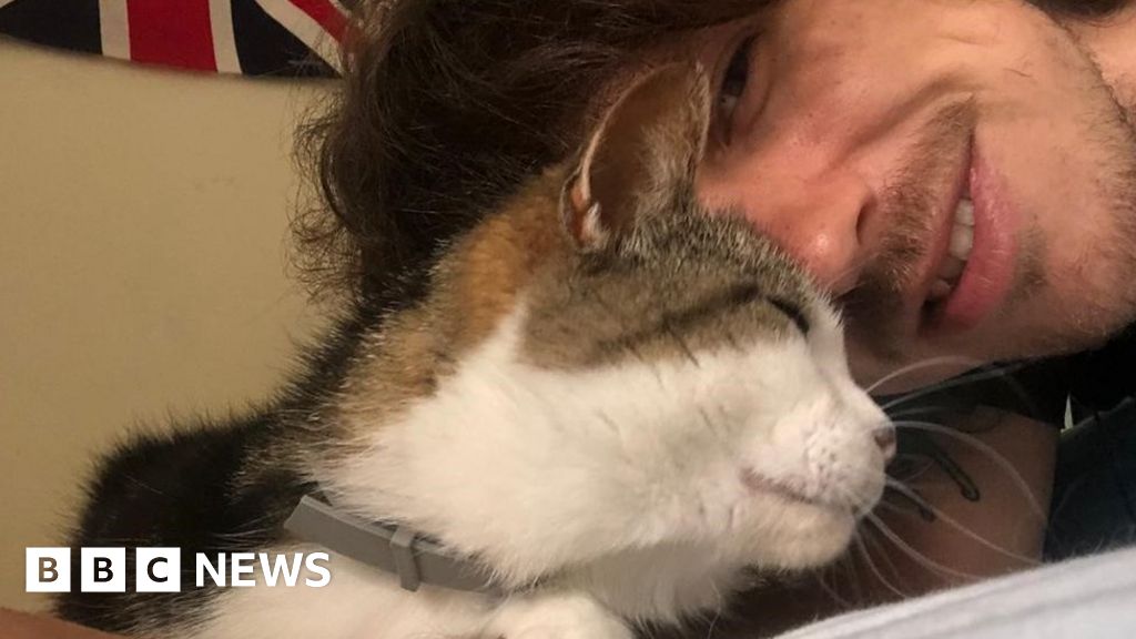 Stray cat inspires Swansea student's cycling challenge