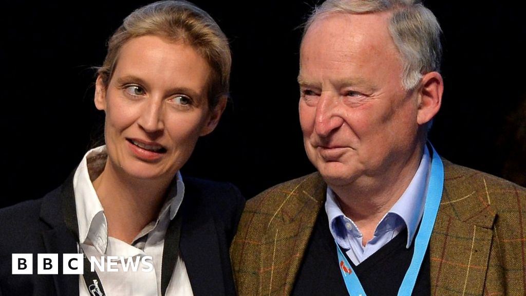 Germany AfD: Right-wing party picks election leaders - BBC News