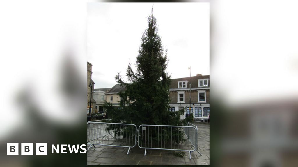 'Bald bits' Sudbury Christmas tree removed - BBC News