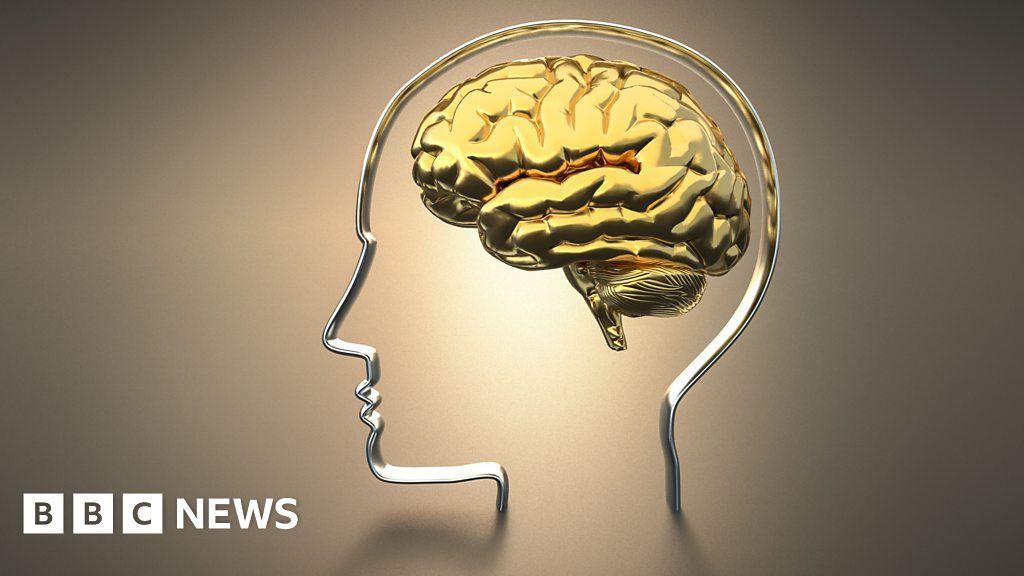 Dr Catherine Loveday On How Languages Help Your Brain BBC News