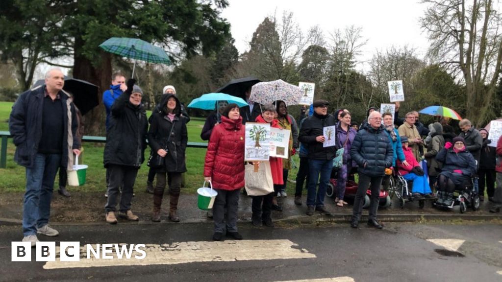 Wellingborough tree protesters say exhibition was 'waste of time' - BBC ...
