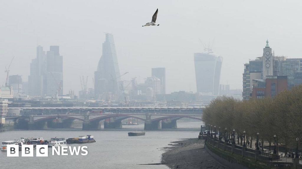 Budget 2020: Mixed reaction on environmental issues - BBC News
