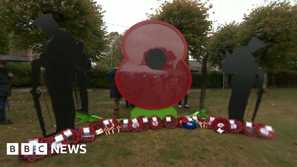 Giant WW1 poppy memorial unveiled in Wincanton - BBC News