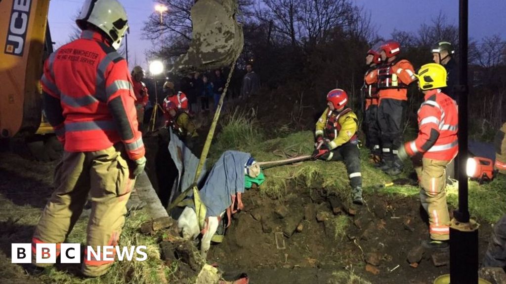 Horse rescued after falling in hole on Wigan farm - BBC News