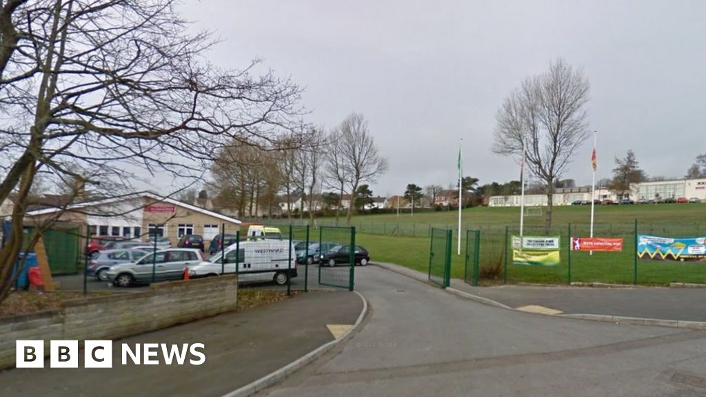 Llangennech Welsh school plans backed by councillors - BBC News