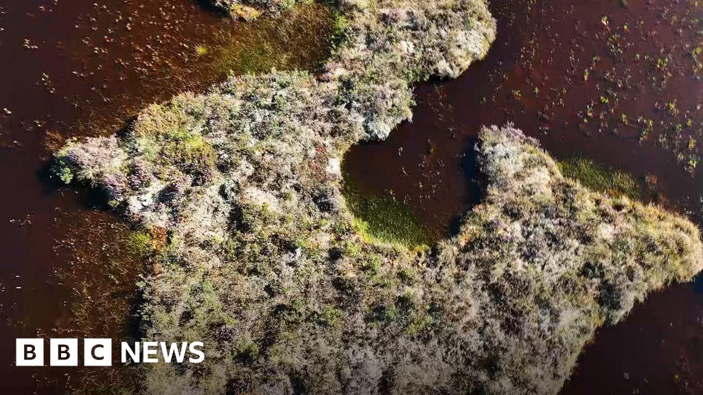 The vast bog that helps fight climate change