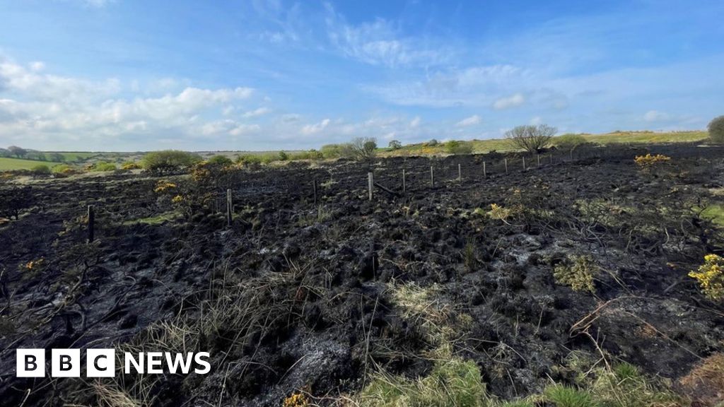 Large gorse fire on Bodmin Moor - BBC News