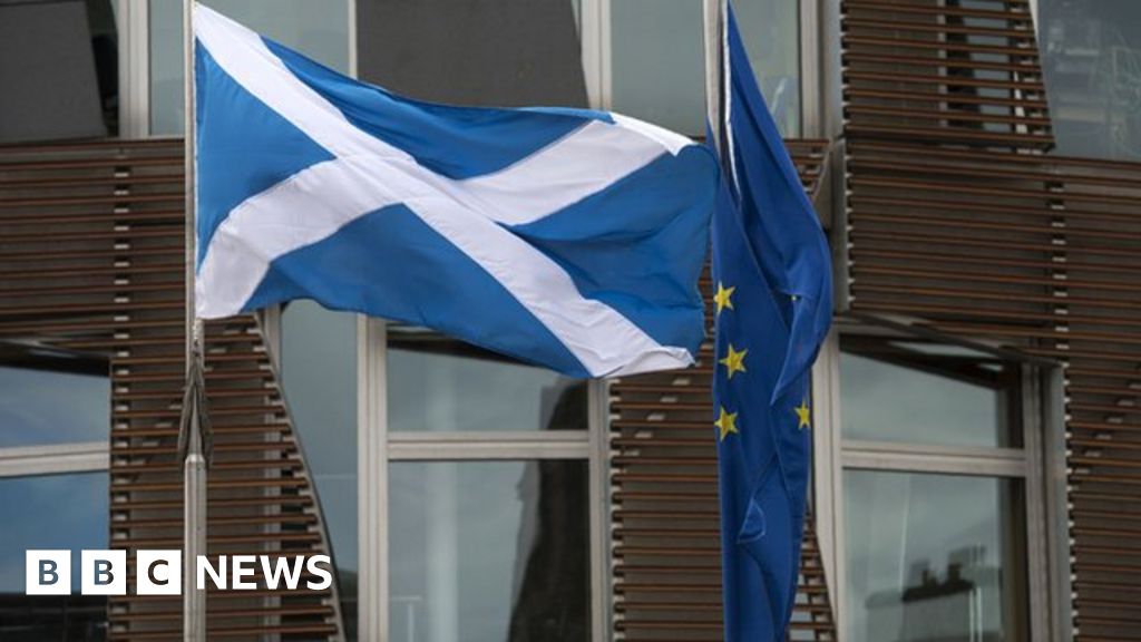 Holyrood Live: Implications of Brexit - BBC News