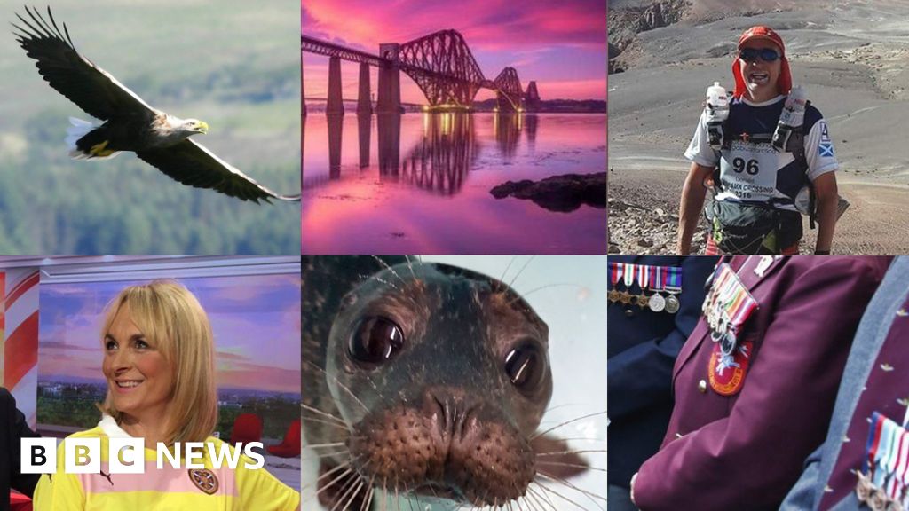 Nice news: Your favourite stories from around Scotland - BBC News