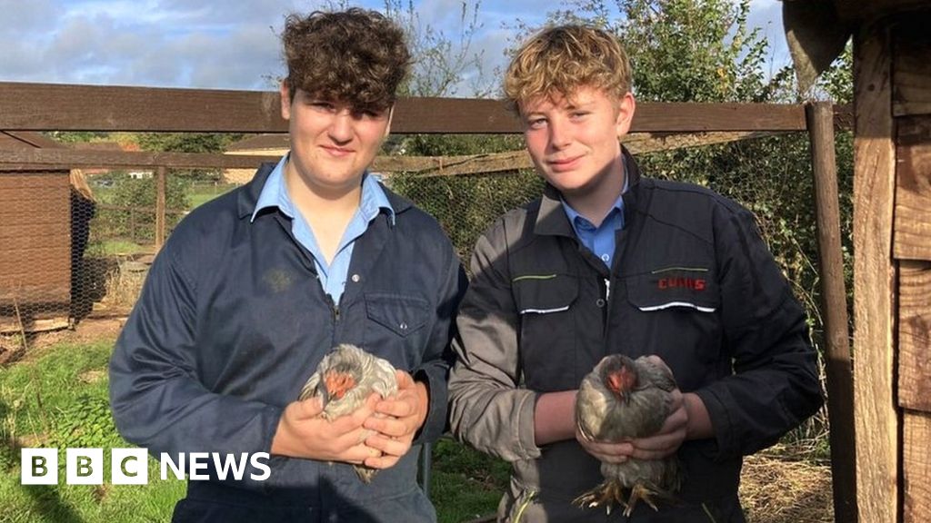 Wiveliscombe secondary school with farm seeking financial help - BBC News