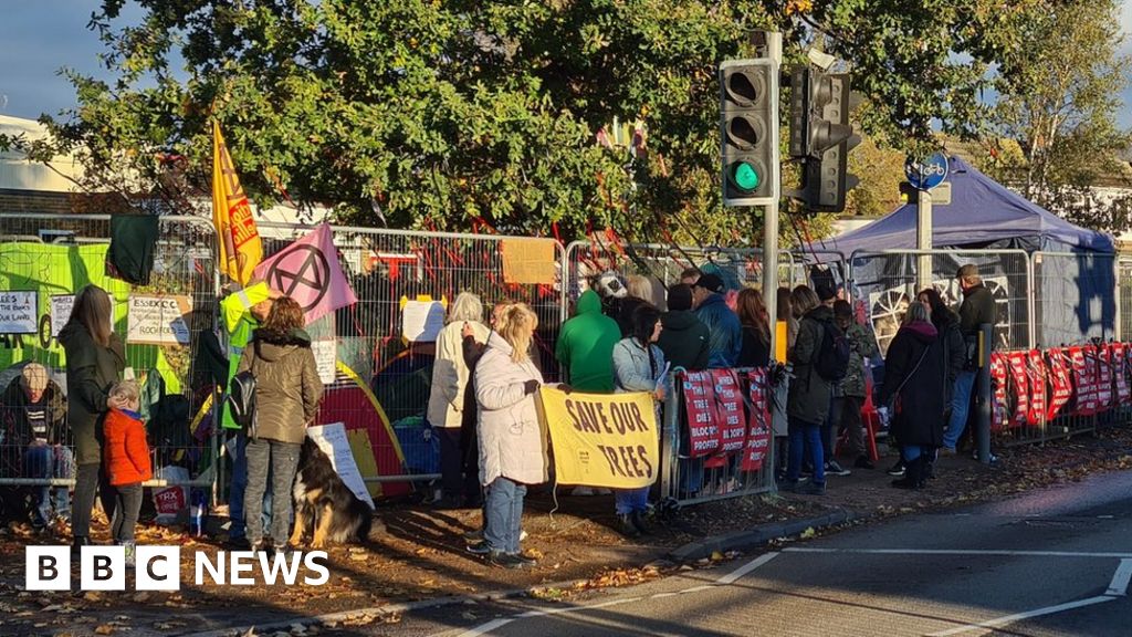 Rochford oak tree: Developer seeks High Court injunction over ...