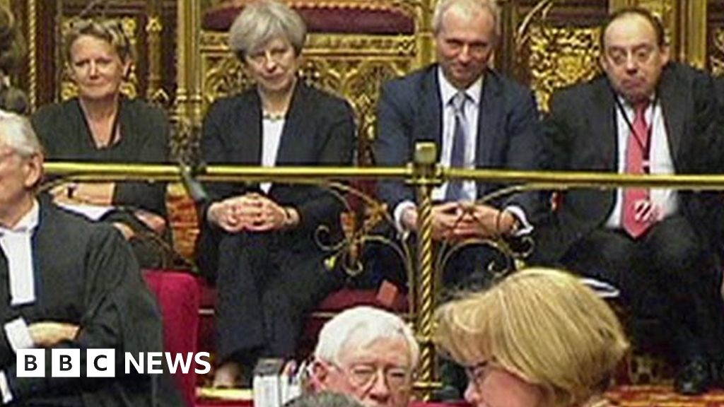 Respect Brexit decision, peers urged - BBC News