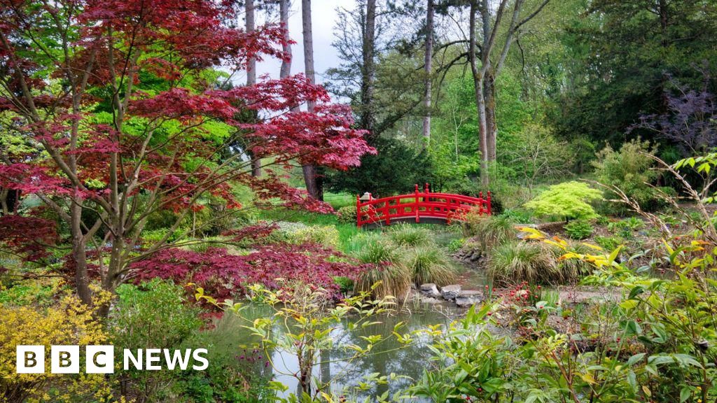 Gatton Park: Japanese garden to celebrate restoration anniversary