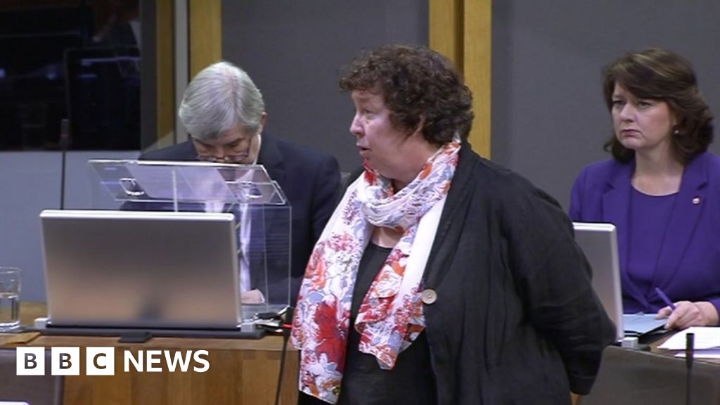 Plaid Cymru Senedd member Helen Mary Jones due in court over murder ...