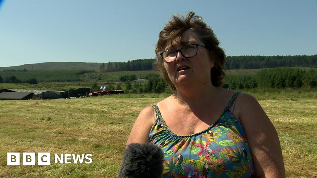 Glenariff gorse fire: 'It was pretty scary here at midnight' - BBC News