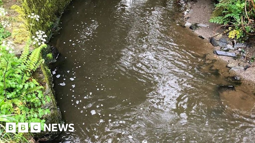 River Teifi polluted with 120,000 gallon slurry spill - BBC News