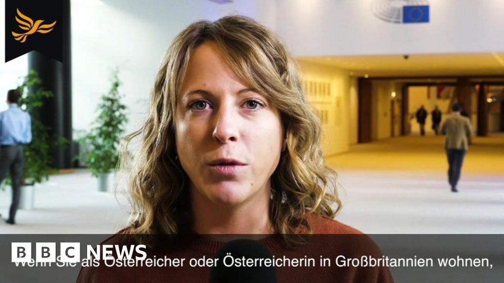 Lib Dems target EU citizens with anti-Brexit message at local polls ...