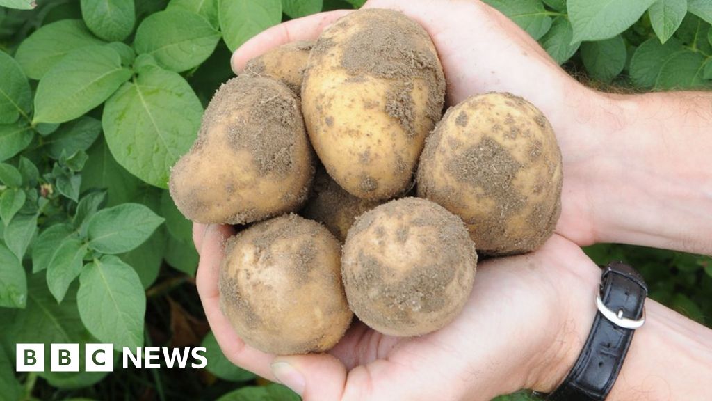 Chinese scientists to grow potatoes on the moon - BBC News
