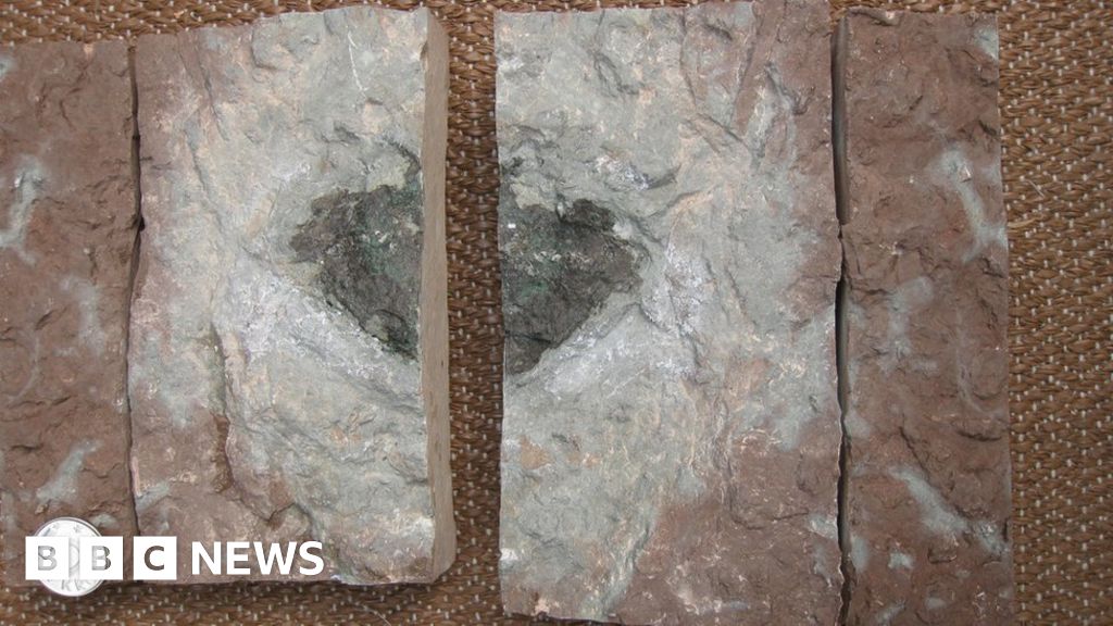 'Fossil' meteorite was from asteroid smash-up - BBC News