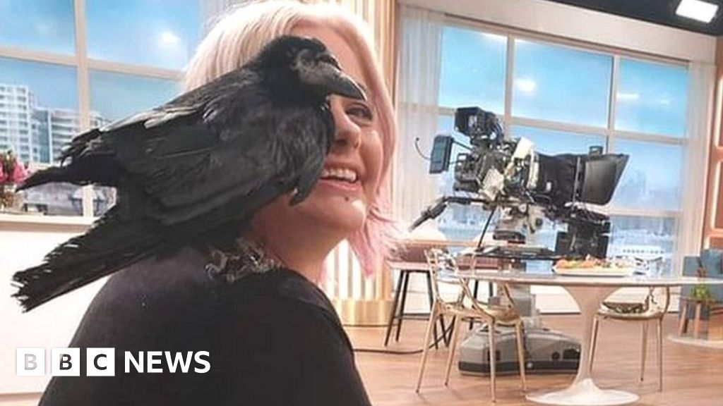 Russell Crow rescuer wants rook's ashes put in tattoo - BBC News