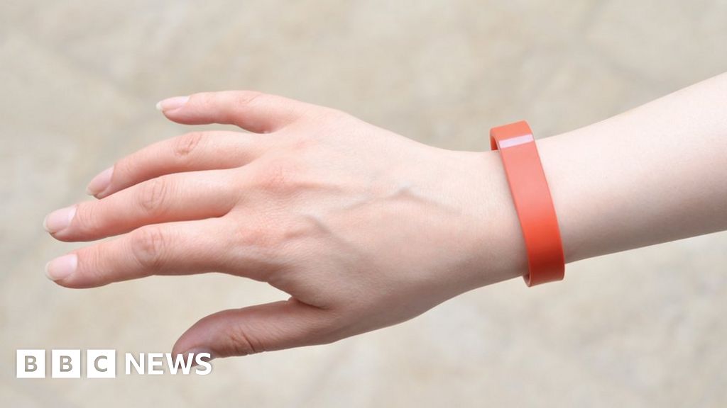 Girls school Fitbit ban 'not related to calorie counting' - BBC News