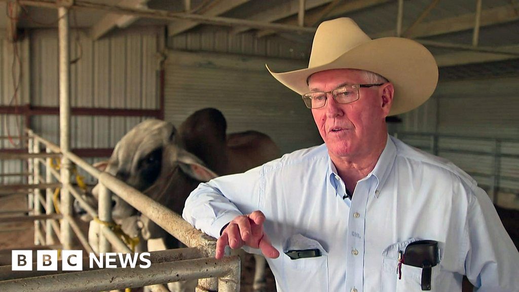 Texas cattle rancher fears for future - BBC News