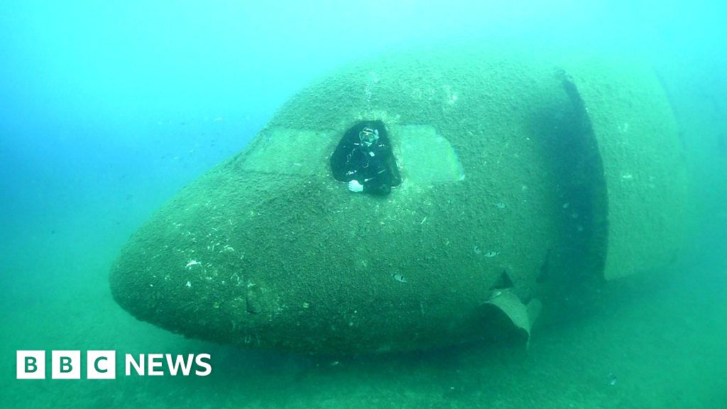 The sunken Airbus jet that is a home to sea life in Turkey - BBC News