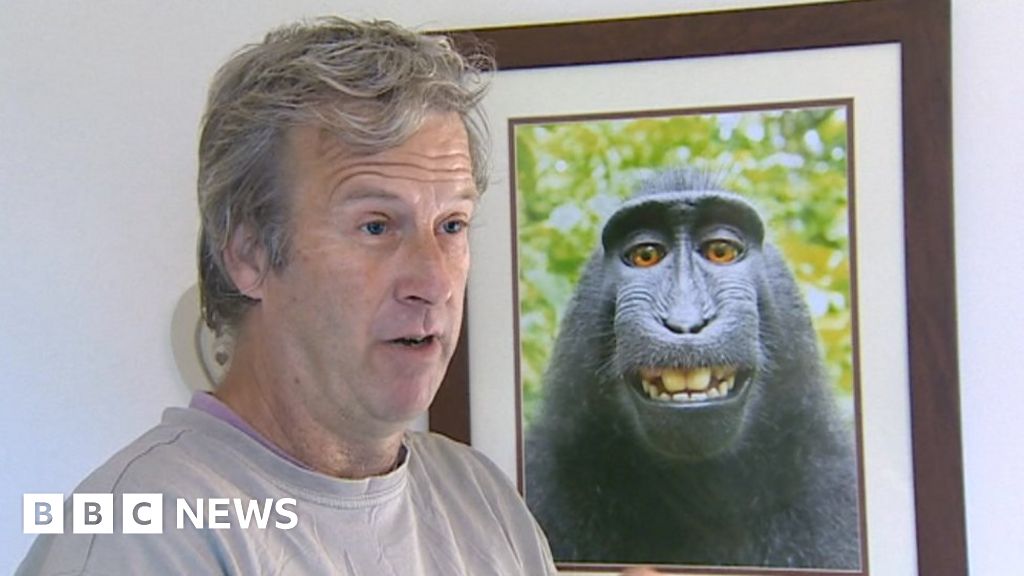 Monkey selfie leads to copyright court battle for photographer - BBC News