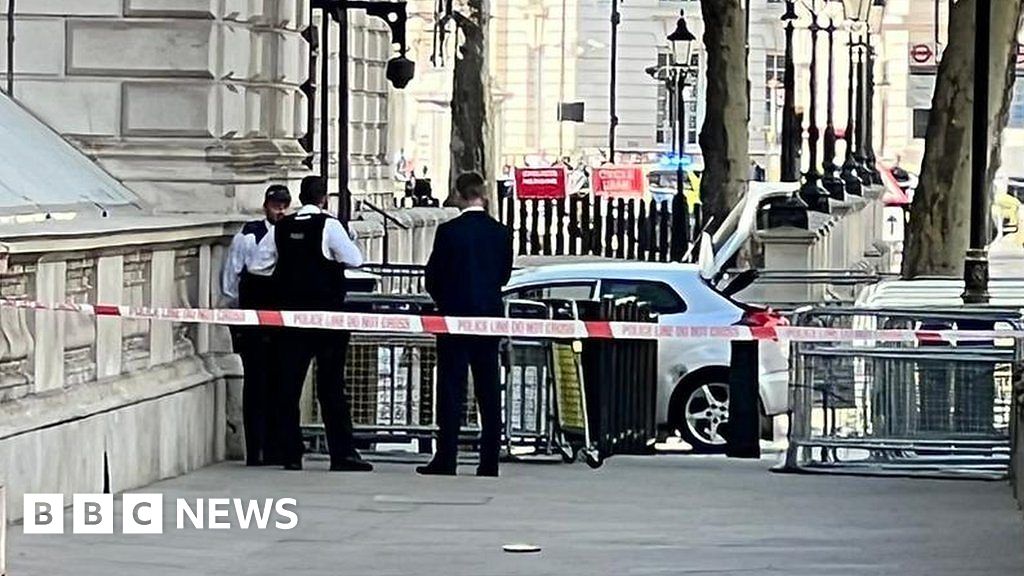 Moment car crashes into Downing Street gates
