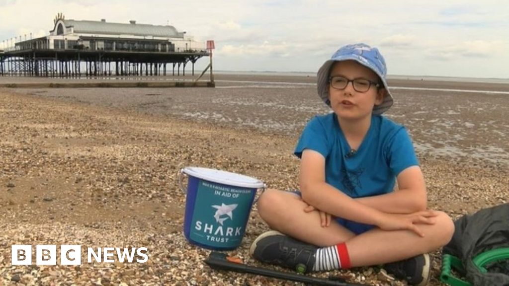 Ten-year-old boy's beach clean-up charity challenge - BBC News