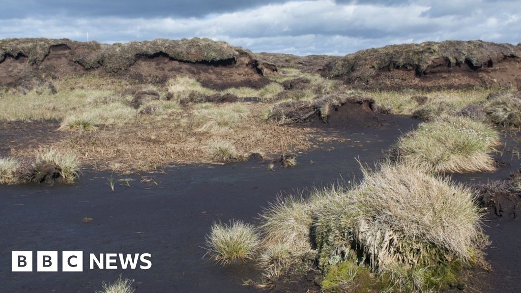 'Restore UK bogs' to tackle climate change - BBC News