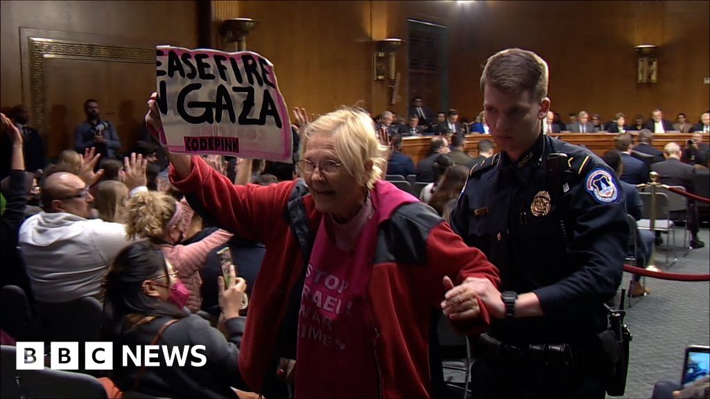 "Ceasefire now!" Chanting protesters disrupt US Senate hearing
