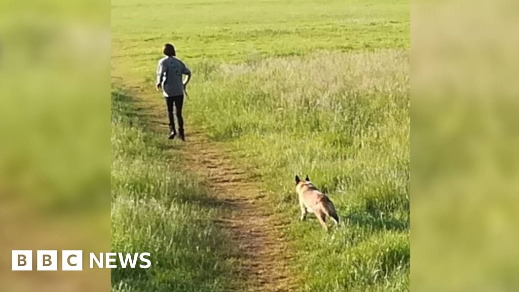 Jogger attacked by 'out of control' dog in York - police - BBC News
