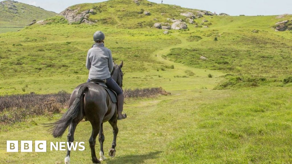 Riders 'too fat' for Dartmoor trek horses - BBC News