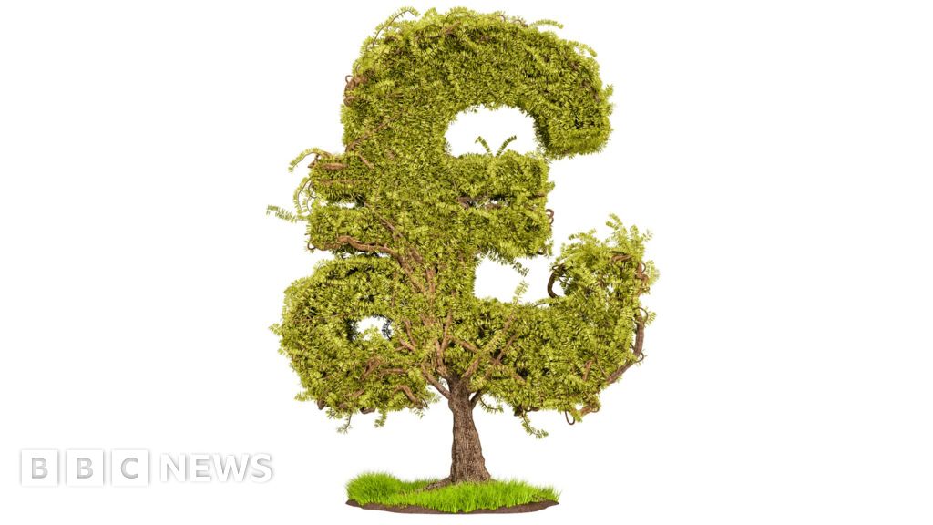 How much use is a magic money tree anyway? - BBC News