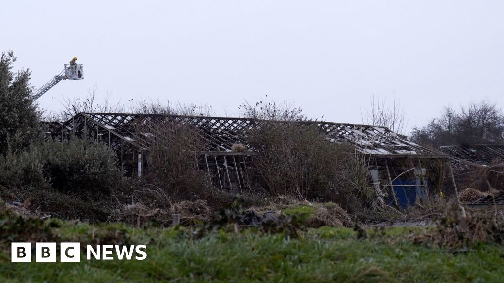 Sparks from grinder cause fire in Guernsey vinery - BBC News