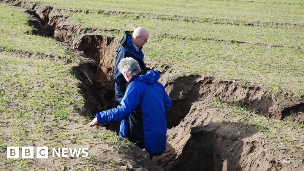 MPs sound alarm on neglected soils - BBC News